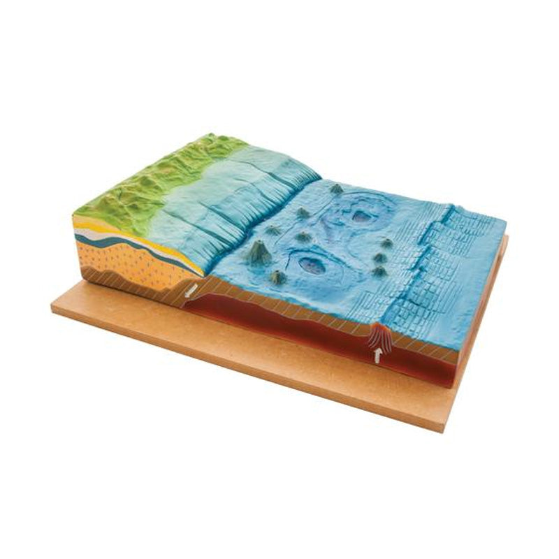 Modelo fundo do oceano – ABC Escolar